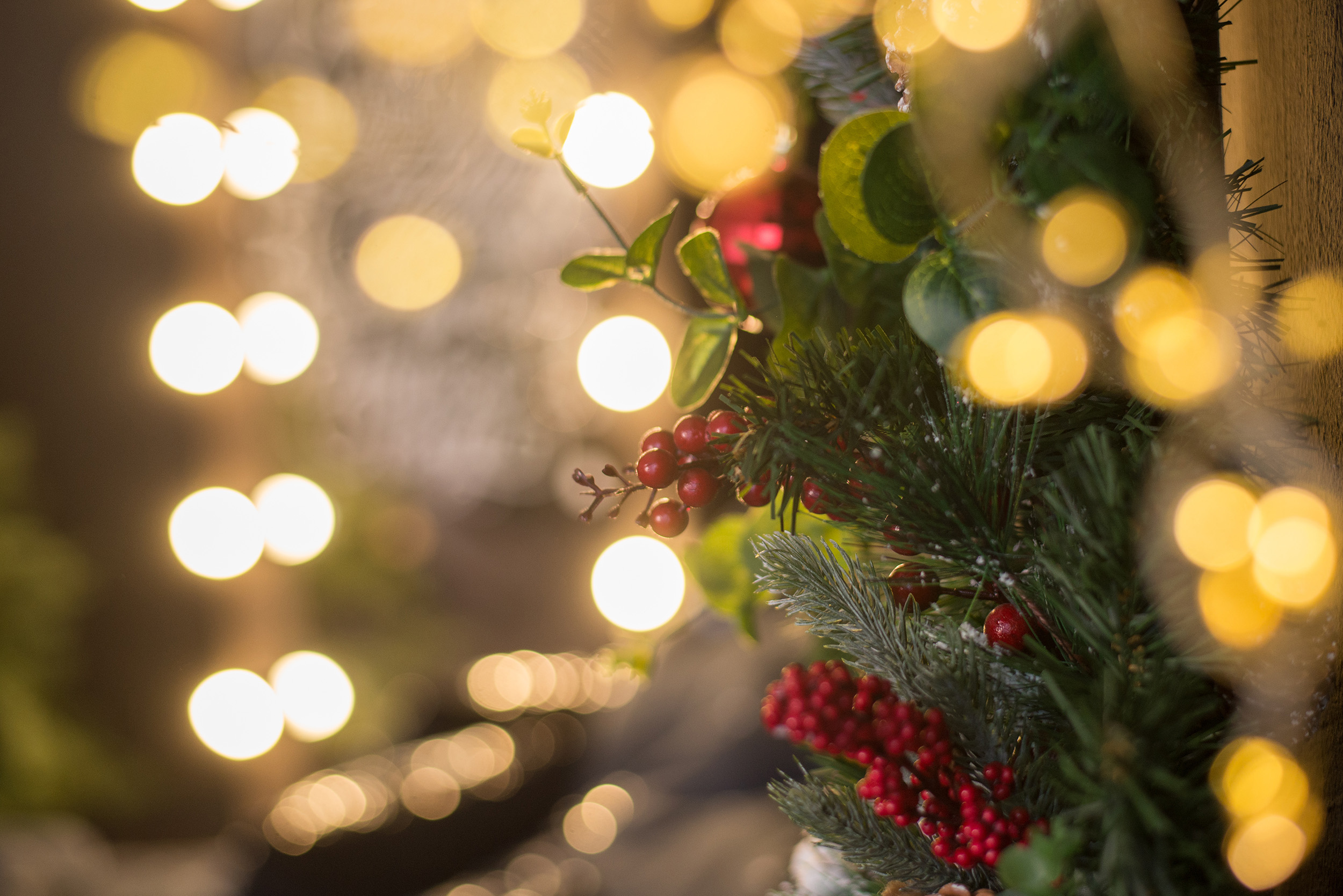 Holiday Party 2025 | George W. Bush Presidential Center