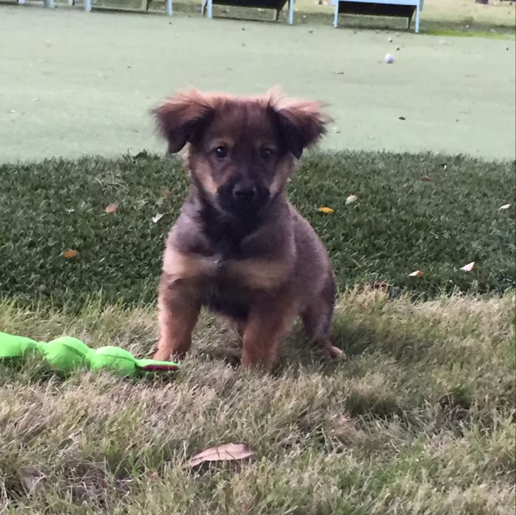 The Bush Family | George W. Bush Presidential Center